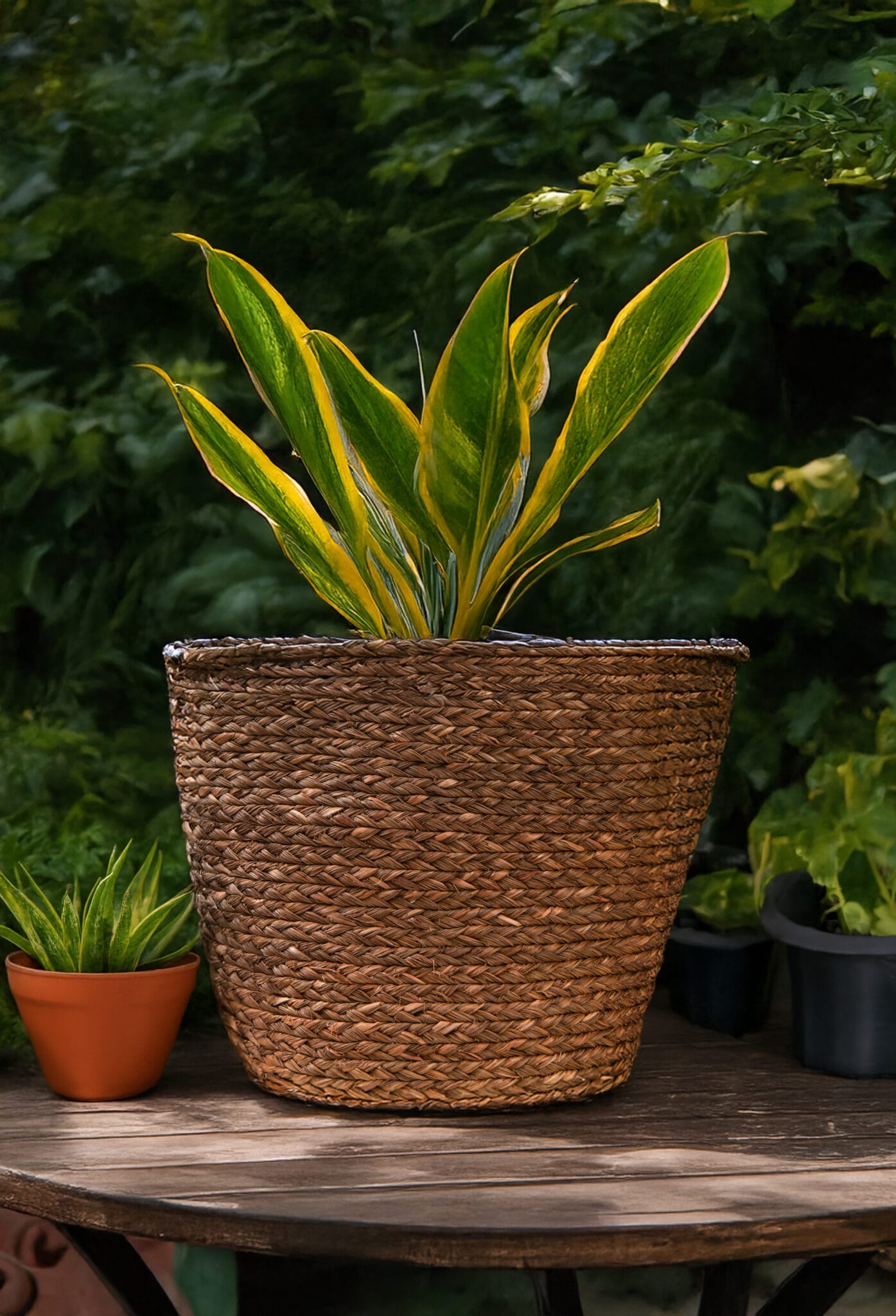 Handwoven Sea Grass Planter for Indoor Patio - Inditrails